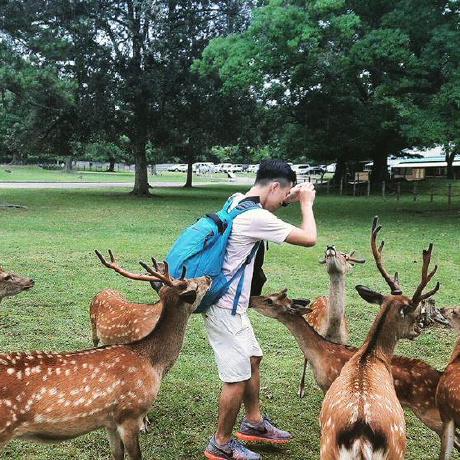 Jinshaohsu Jin Hsu Github