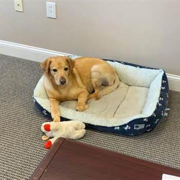 Riley19101 Riley Is Cool Github