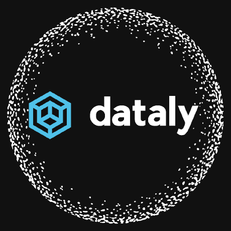 Dataly Biz Github