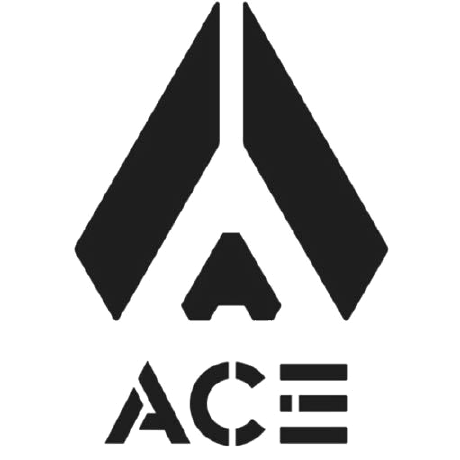 Dgut Ace Embedded Github