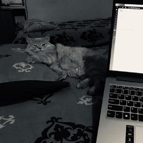 Anushkarao12 Anushka Rao Github