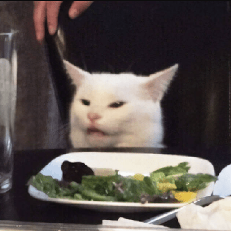 Mcarthur Reece Reece Github