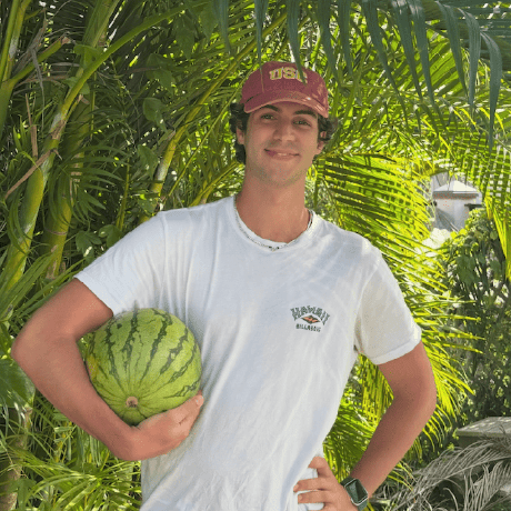 Alessandromorosini Alessandro Morosini Github