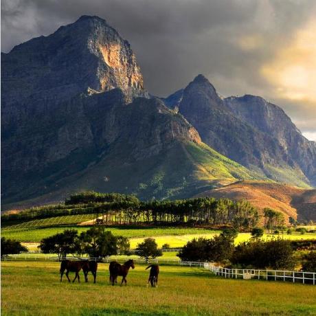 Olek Lab Olek Github