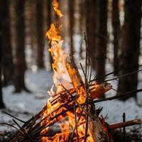 Turnmanedition Andrey Dorofeev Github