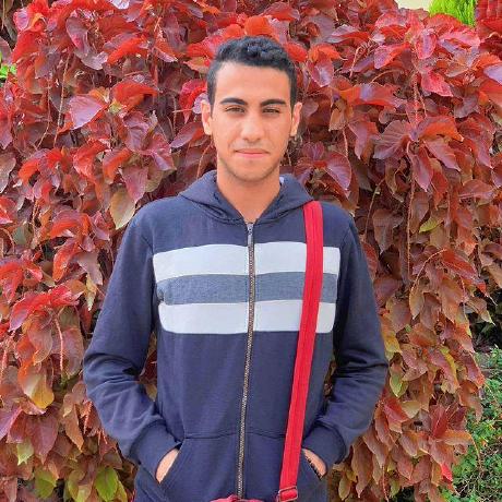 Yousefhanyy Yousef Hany Github