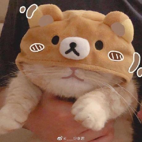 Lat0045 Github