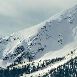 Catherine22 Catherine Github