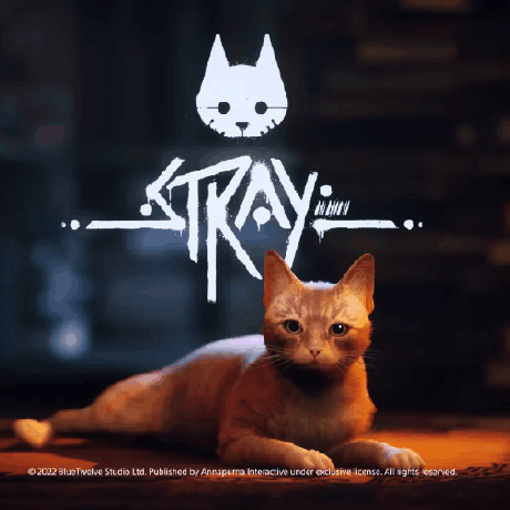 Spongeberry Ruiyang Wang Github