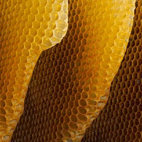 Jerrywu96 Jerry Wu Github