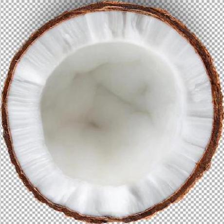 Carolinakendall Carolina Github