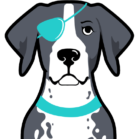 Privateer Project Github