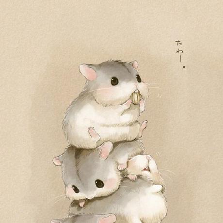 Kitaharasetusna Zixun Github