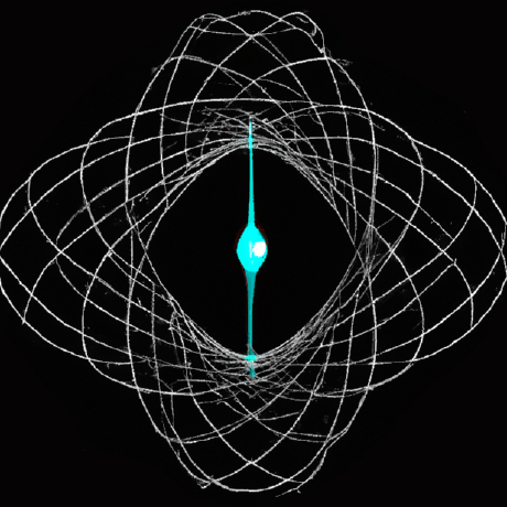 The Quantum Study Group Github