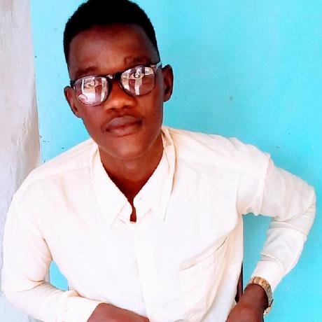 Nasirou85 Aliou Diagne Github