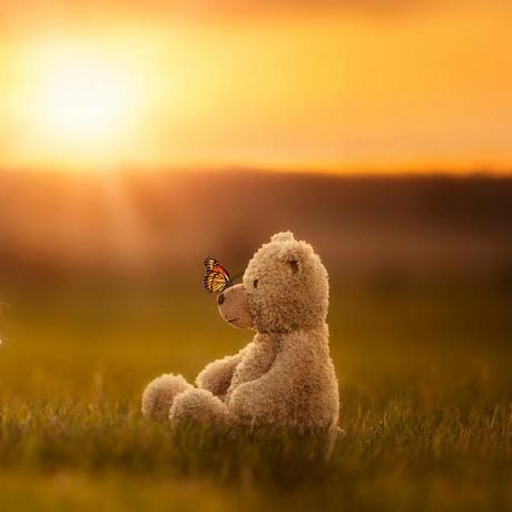 Harikamarre Harika Github