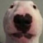 Chargingthunder Georges Github