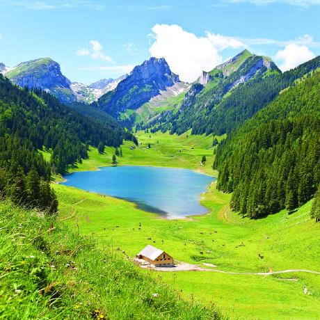 Jalen972 Jalen Github