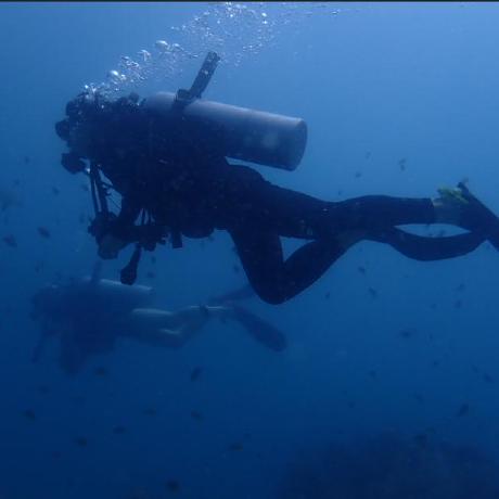 Xl Shao Xinlei Github