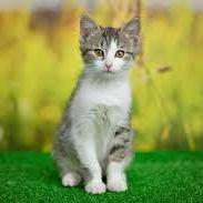 Superexmack Mohit Sati Github - Download Professional Abstract Picture | HD