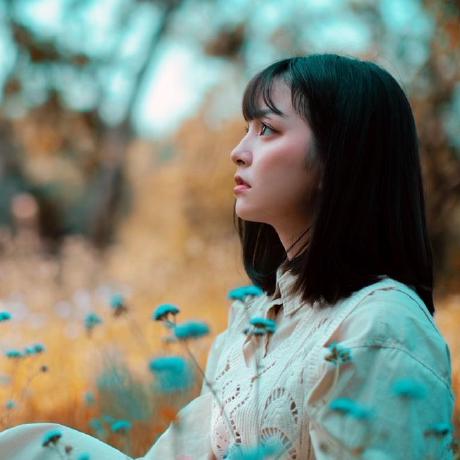 Aurora890724 Aurora Github