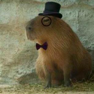 Grabijsj Capivara Github