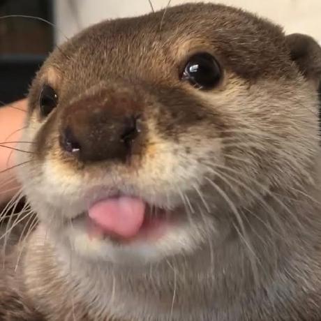 Github Supercca Poi Chart - City Art Collection - 8K Quality