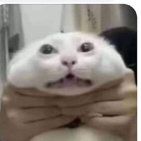 Mystic047 Mystic Github