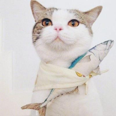 Reed Made Jialei Xie Github