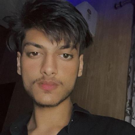Developer Vansh Github