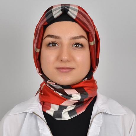 Beyza17 Beyza Zayim Github