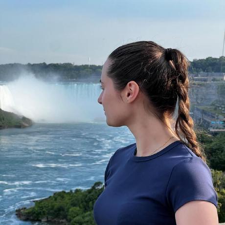 Elenaferreira Elena Github