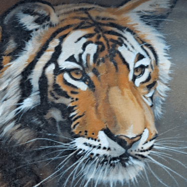 Cse170 Final Project Github