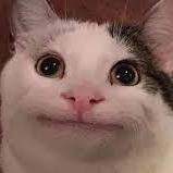 Prashanth036 Prashanth Github