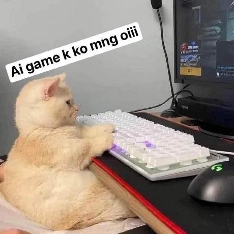 Petertit Trб Nh Quб C Cж б ќng в Github