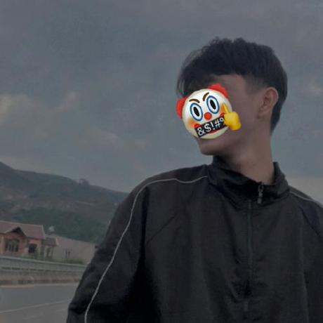 Longxyn Nguyá N Viá T Long â Github