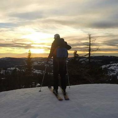 Mattstern31 Matt Stern Github