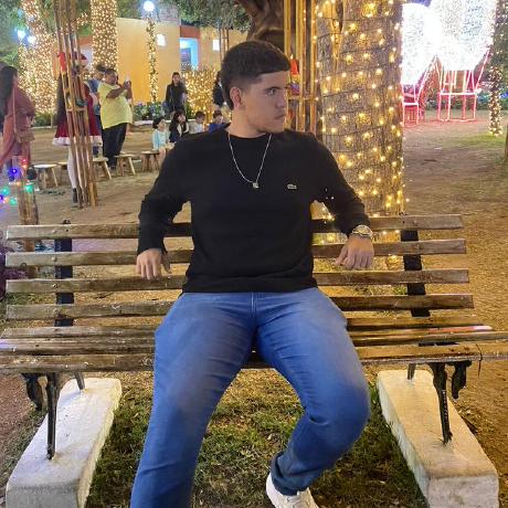 Paulohs8 Paulo Henrique Silvestre Github