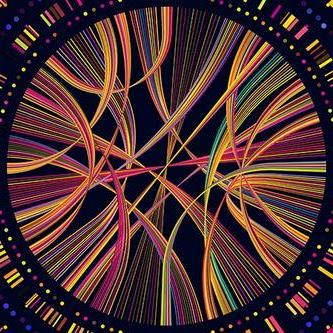 Laboratory Of Evolutionary Genomics Github
