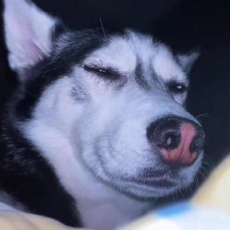 Githubnighteven Night Even Github