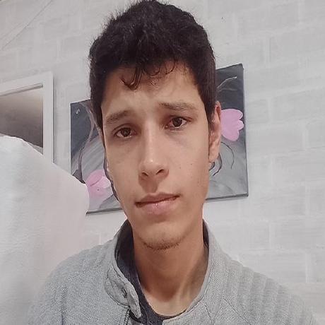 Bravosergio Sergio Github