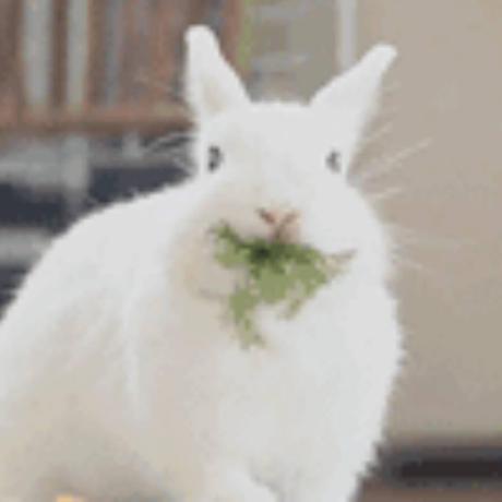 Magicpenguin301 Magicpenguin Github