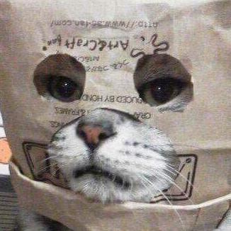 Kazuhide Nakamura Github