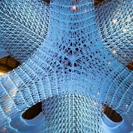 Daedalus2022 Daedalus Github