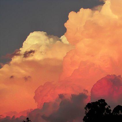 Elisabethmsss Elisabeth Github