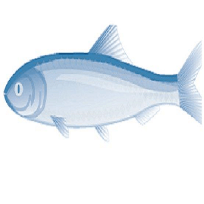 Trinity Minnow Github