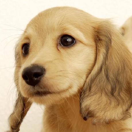 Compressed Size Action Test Actions Github Marketplace Github