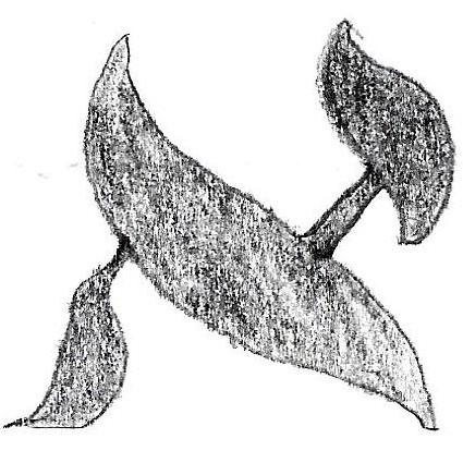 Savoy Robotics Github