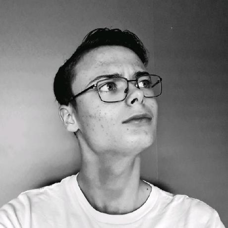 Sten Nierop Sten Github