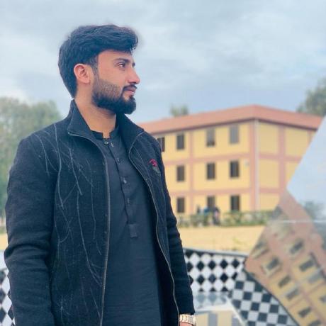 Naseerahmed3 Naseer Github
